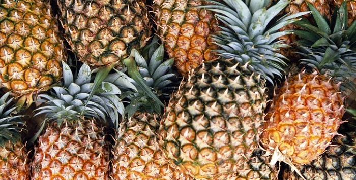 10 benefícios de saúde surpreendentes de abacaxis - Saude Teu